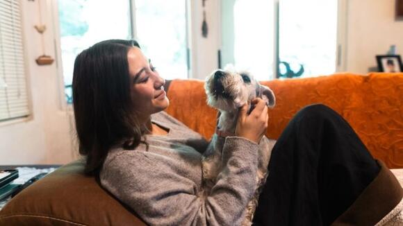 Dogs Can Understand Human Emotions Better Than We Think, New Studies ...