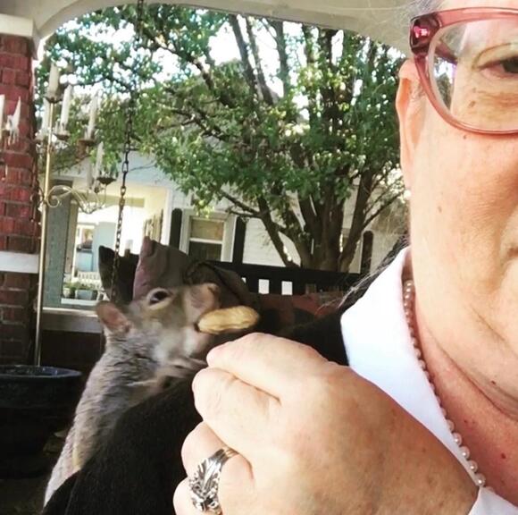 Peanuts & Patience: Meet Owensboro's Squirrel Whisperer - NewsBreak