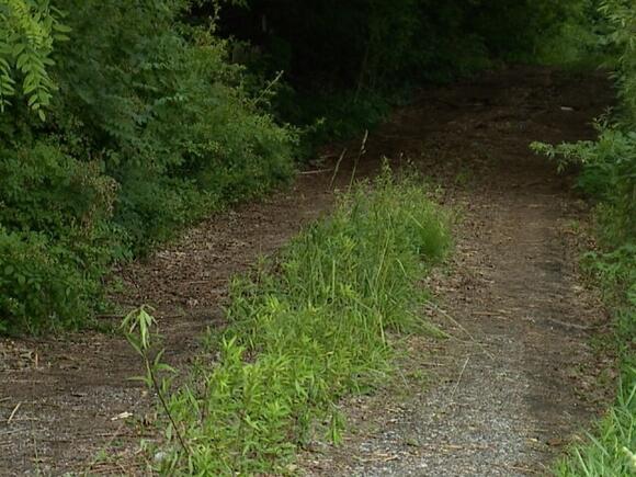 'No dogs were found alive': 146 dogs found dead in Mantua home