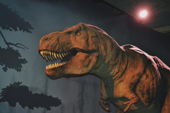 5 Theories About How the T. rex Hunted - NewsBreak