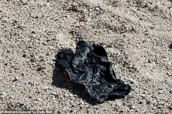 Nancy Guthrie sheriff reveals smoking gun piece of evidence that could ...