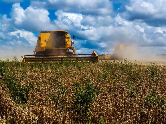 Sanitary crackdown slows Brazil soybean flow to China at peak export ...