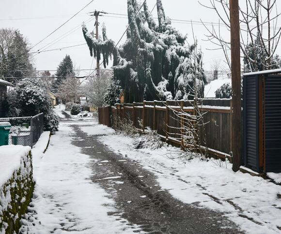 Slippery Winter Paths and Decks? This Easy, Natural Fix Adds Instant ...