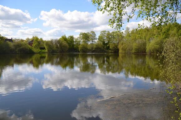 Body of teenage boy found after he went missing while swimming in lake ...
