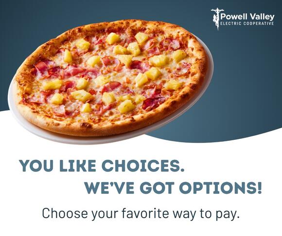 PVEC offers multiple bill payment options - NewsBreak