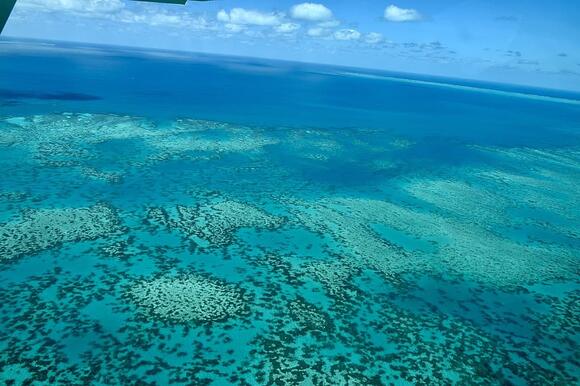 What Finding Nemo Got Right (and Wrong) About Ocean Life - NewsBreak
