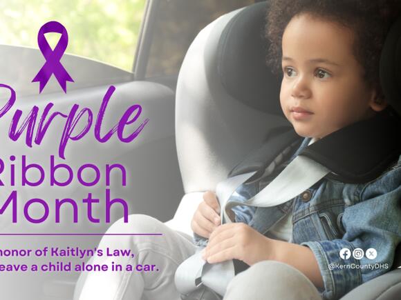 Look Before You Lock: Kern County observes Purple Ribbon Month - NewsBreak