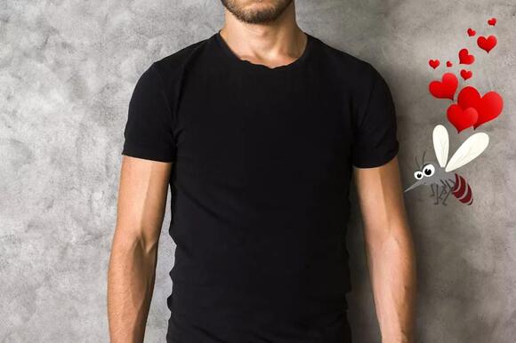 Snow Flea Season In Michigan- What The Experts Want You To Know - NewsBreak