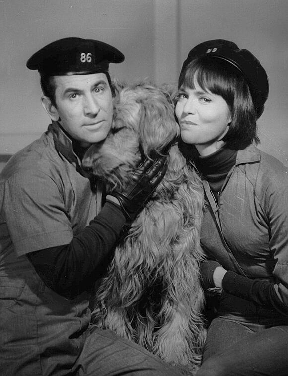 The Tragic Death of 'Get Smart!' Star Don Adams: 21 Sad Years Later ...