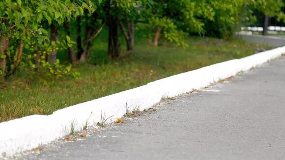 Texas Curb Color Codes: What Each One Really Means - NewsBreak