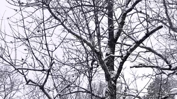 Staying warm can be dangerous: How to protect your home from carbon ...