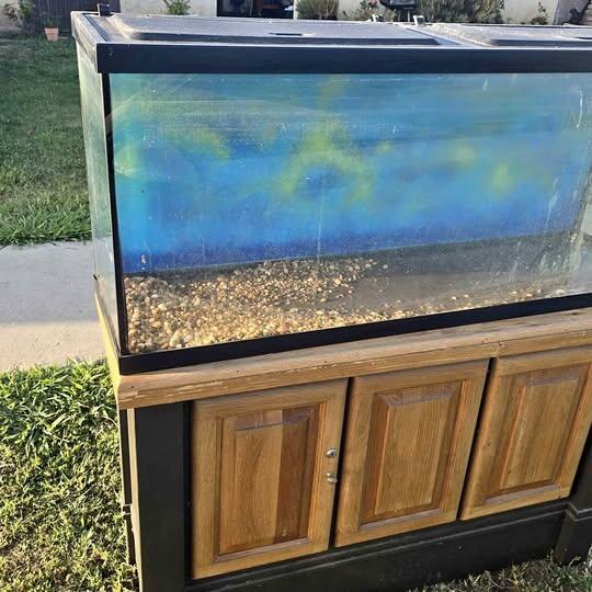 🎁 Freebies Up for Grabs in Carson — Plants, Wood & More - NewsBreak