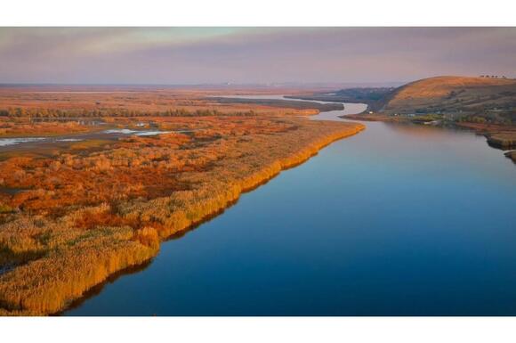 8 Habitat Restoration Efforts Transforming Ecosystems - NewsBreak