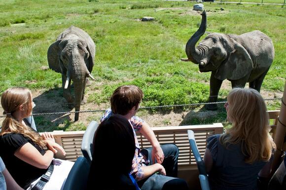 Family-Friendly Fun Awaits At Six Flags Great Adventure 2026 - NewsBreak