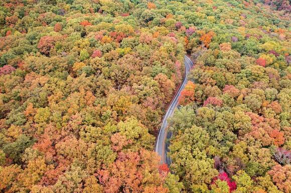The 10 Most Stunningly Scenic Drives in Arkansas - NewsBreak