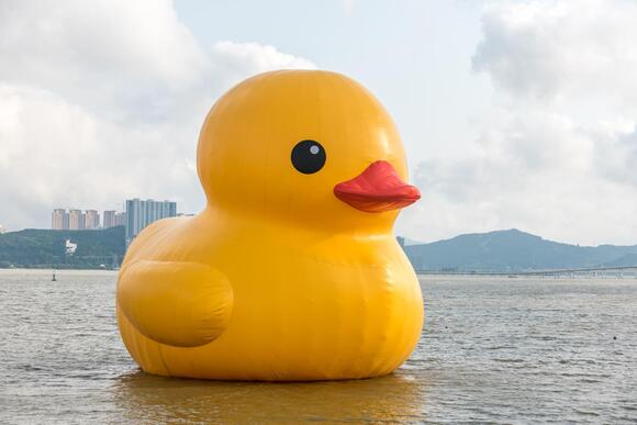 An enormous duck is coming to Westchester County. It’s the biggest in ...