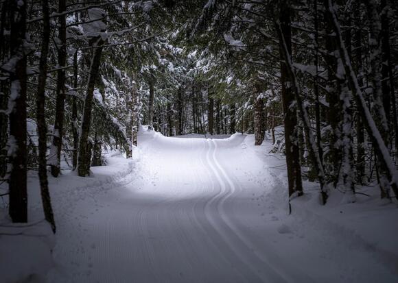 Farmer’s Almanac Ends 208-Year Run With One Last Winter Forecast for ...