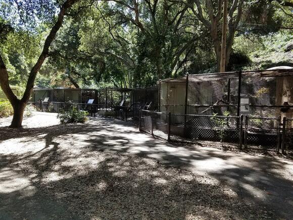 7 East Bay Farm, Garden, and Animal Day Trips Within an Hour of Hayward ...