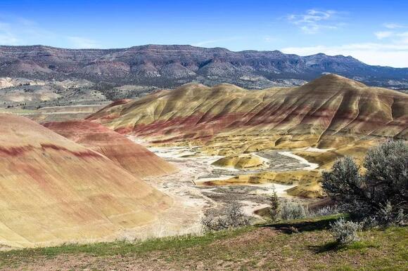 Unearthing the Giants: What Made Wyoming a Dinosaur Hotspot? - NewsBreak