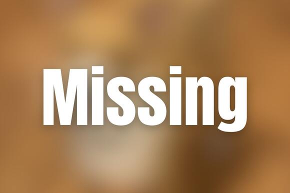 Missing Dog Alert: Rome Community Asked to Help - NewsBreak