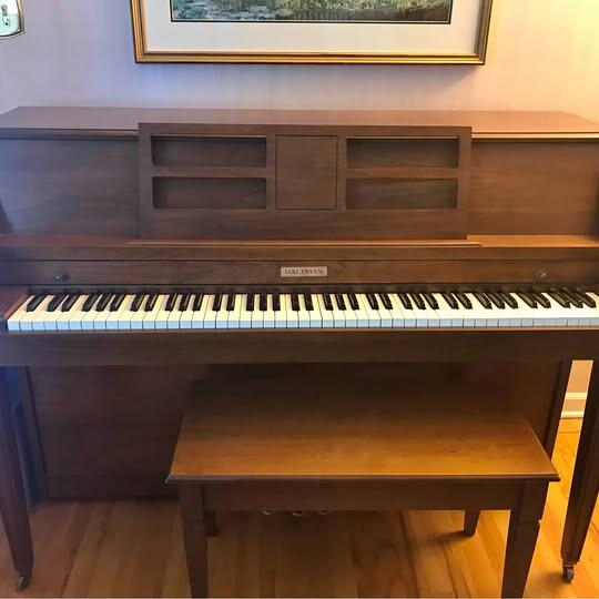 🎁 Freebies Up for Grabs in Smyrna — Pianos & Pets Await - NewsBreak
