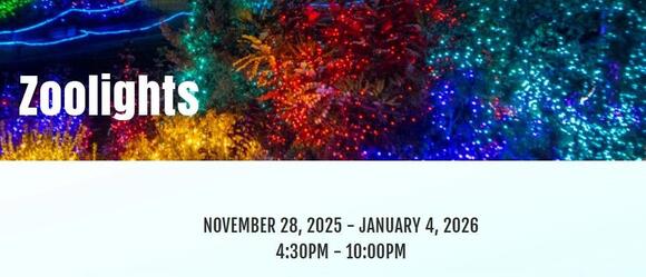 Seattle's Top Holiday Light Displays To Brighten Your Season - NewsBreak