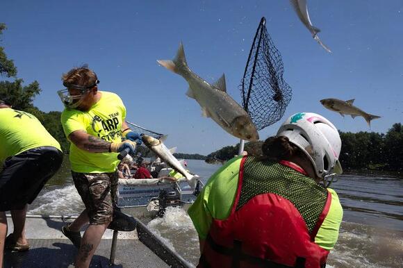 Biologists pull 100,000 pounds of invasive fish species out of Kansas ...