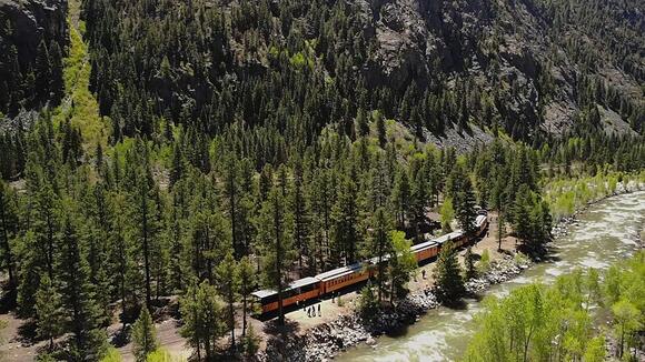 Here’s How to Find the Perfect Christmas Tree on the Grand Mesa - NewsBreak