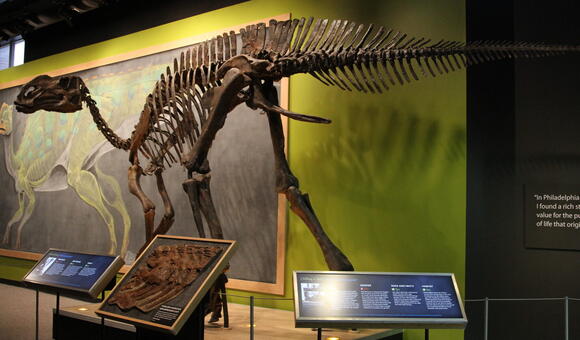 Underwater Fossils: Can Dinosaur Bones Be Found in the Ocean? - NewsBreak