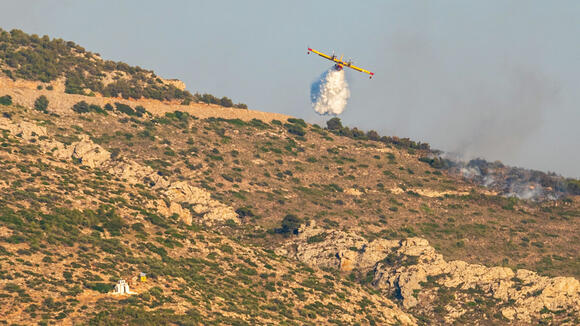 The Countries with the Most Forest Fires: A Comprehensive Overview ...