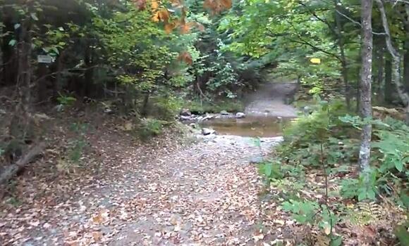 Michigan’s Most Scenic Road Packs a Dangerous Punch - NewsBreak