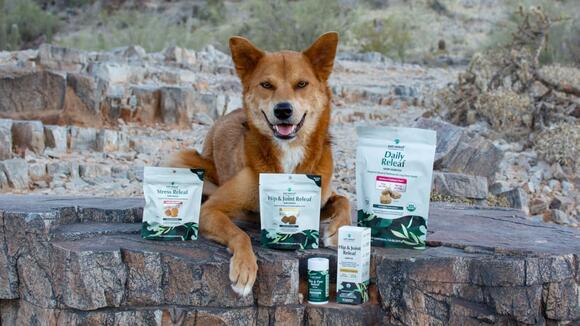 Keep Your Pup Relaxed This Fourth of July With Pet Releaf’s Calming Dog ...