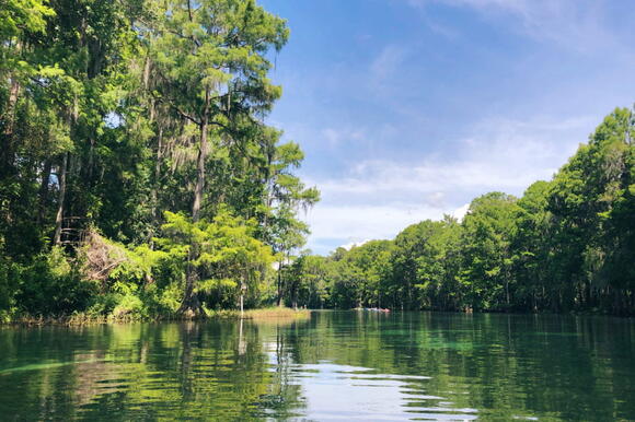 Day Trip: Rainbow River Tubing at KP Hole - NewsBreak