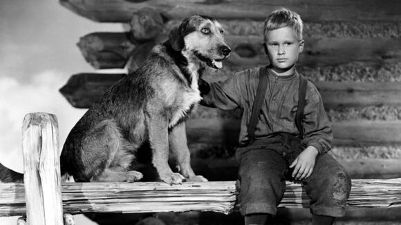 The Tragic Death of Former Child Star Brandon deWilde ("Shane") - NewsBreak