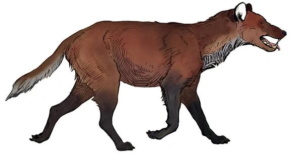 10 Prehistoric Animals That Roamed Ancient America - NewsBreak