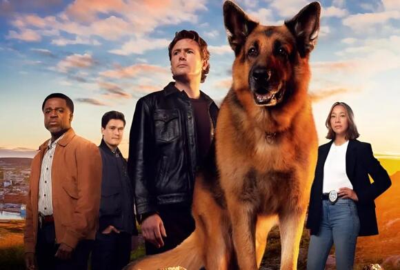 ‘Hudson & Rex’ Producer Mourns Death of Furry Actor - NewsBreak