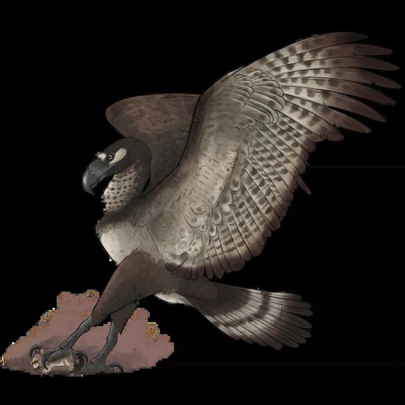 7 Astounding Prehistoric Animals That Ruled the Skies Long Ago - NewsBreak