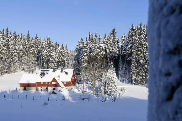 Post Malone Returns Home for the Cowboys’ Halftime Show — and It’s ...