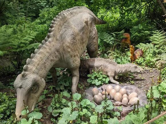 Paleontologists Just Uncovered Proof of Dinosaur Social Structures And ...