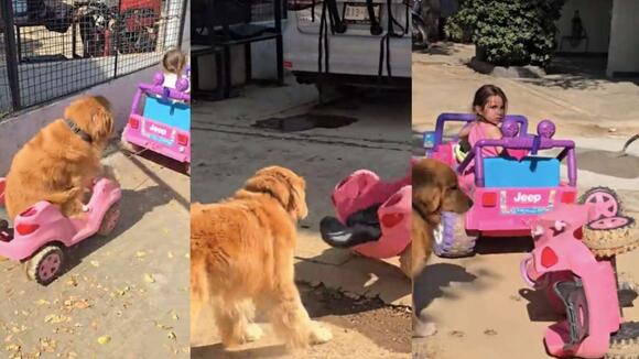Video: Golden Retriever’s Efforts to Keep Up With Kid’s Car Game Go ...