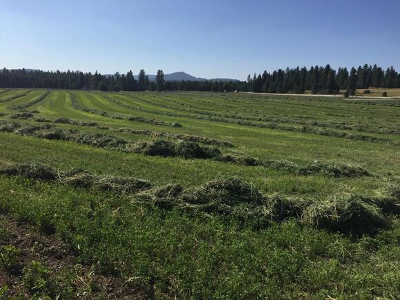Farm Profitability In Washington Drops To 50th In National Rankings ...