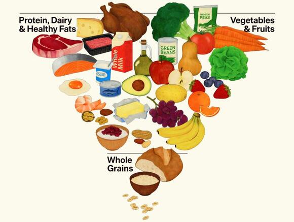 New, upside-down food pyramid released: Here’s what has changed - NewsBreak