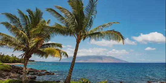 Hawaii Governor Signs First-of-Its-Kind Legislation to Circumvent ...