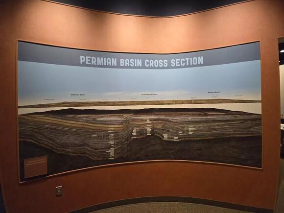 Why Slower Animals Are Winning at Survival - NewsBreak