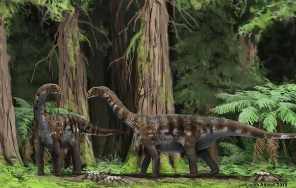 The Truth About Why Some Dinosaurs Grew So Gigantic - NewsBreak
