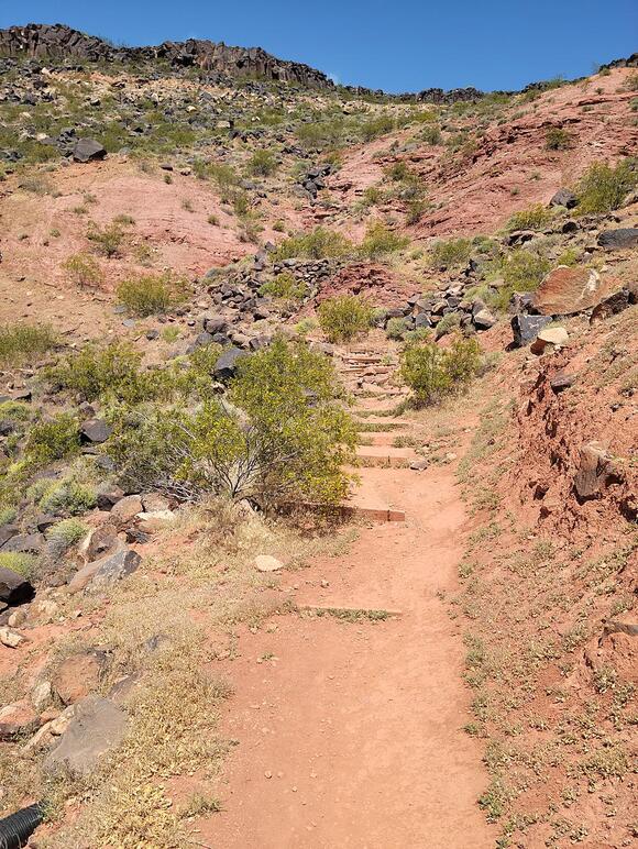 New Trailhead Bringing Mountain Biking Races to Southern Utah - NewsBreak
