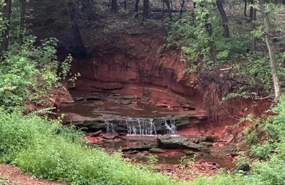 Student asks if storm makes snake-filled pond safe to explore: 'Can I ...