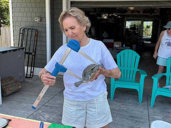 Terrapin Nesting Site Is In House’s Front Yard - NewsBreak