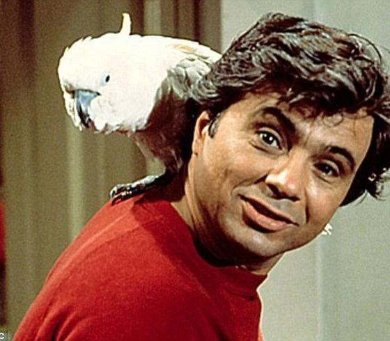 30 Forgotten Detective Shows of the 1970s & 1980s - NewsBreak
