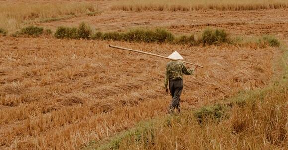 Trump's $1.5B Vietnam golf club displaces poor farmers - NewsBreak